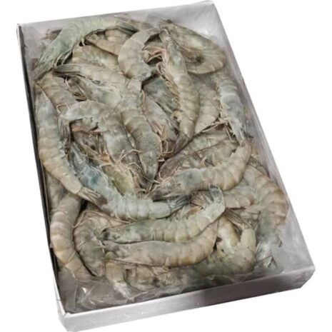 Vannamei White Prawn, HOSO, IQF 31/40 – FrozenMeat.sg